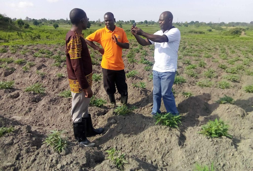 Prof. Mukasa and Dr. Drake Mirembe test the garden mapping and data ...