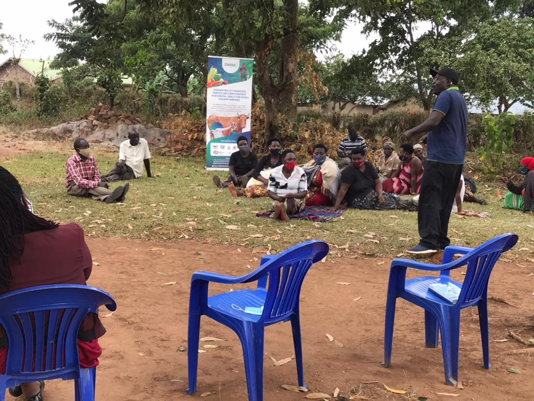 Training and recruitment of farmers for the usage of the ICT4Farmers ...